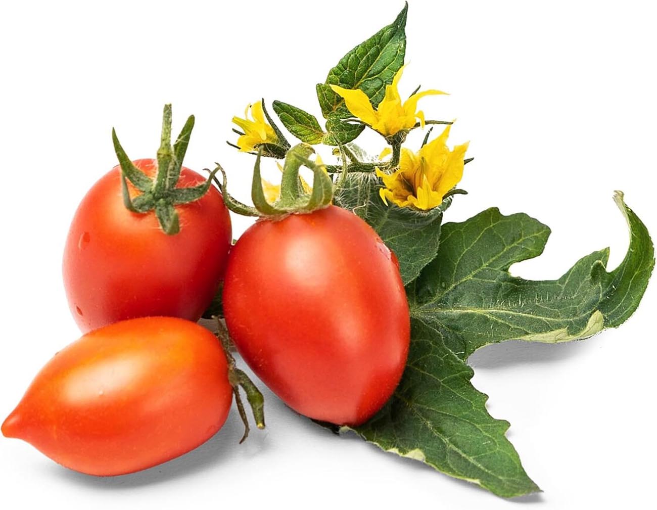 Veritable Indoor Farm Pod / Single Pod / Red Cherry Tomato in Qatar